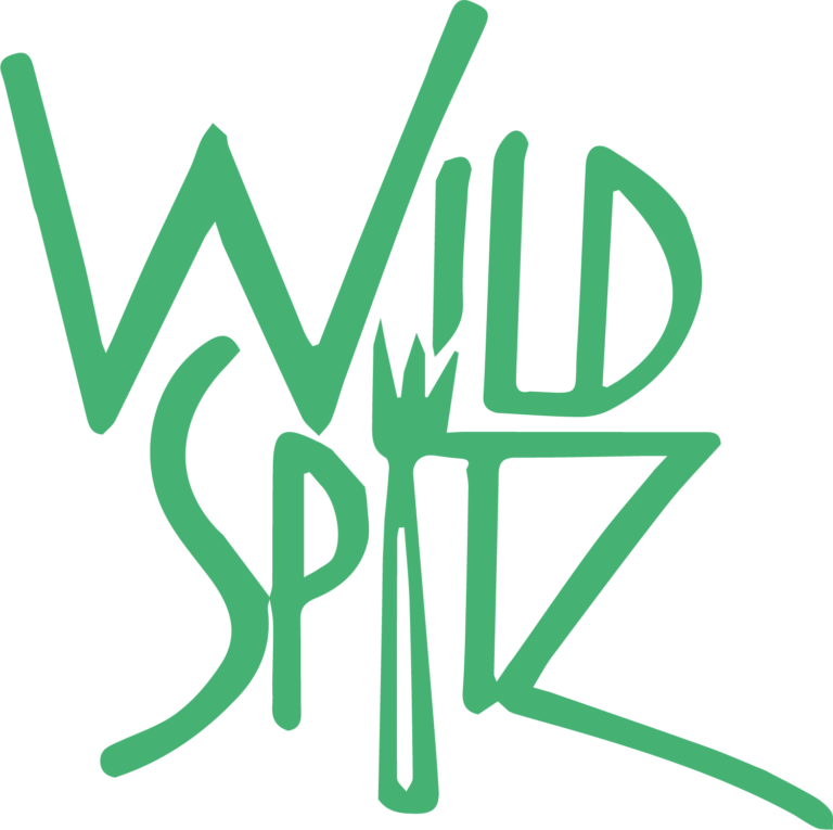 07.2024 - Neues Logo - Wildspitz